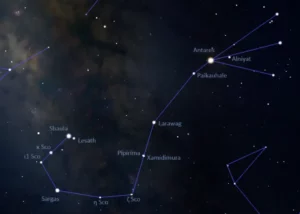 Fish Hook | Star Facts