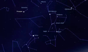 Procyon location | Star Facts