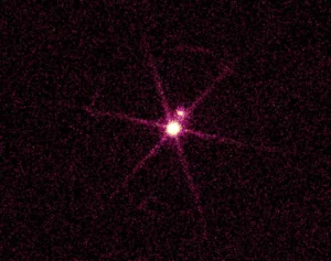 Sirius A and Sirius B X-ray | Star Facts