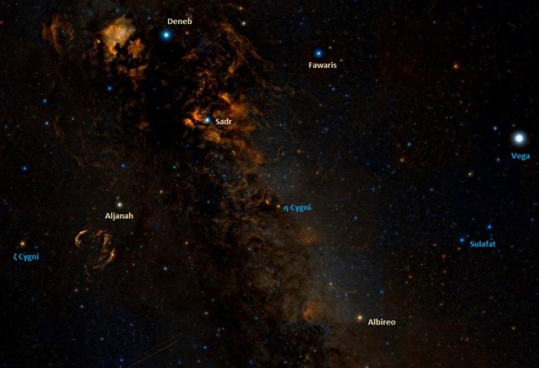 Sadr (Gamma Cygni): Star Type, Name, Location, Constellation | Star Facts